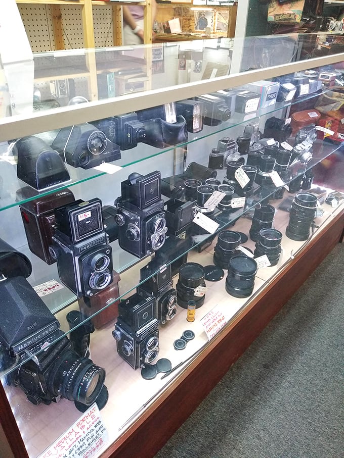 These vintage cameras once captured someone's precious memories, now waiting for collectors who appreciate mechanical artistry over digital convenience. 