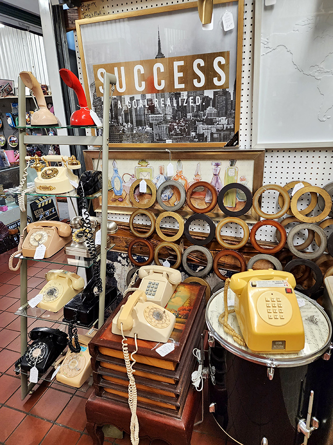 Rotary phones in technicolor glory! These aren't just disconnected relics; they're conversation pieces waiting to tell tales from a pre-texting era.