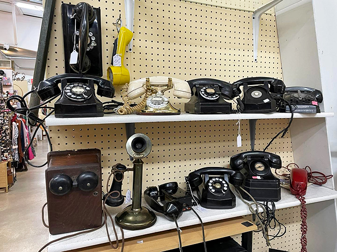 Before smartphones ruled our lives, these beautiful rotary dinosaurs connected us. Each one carries conversations and secrets from another era.