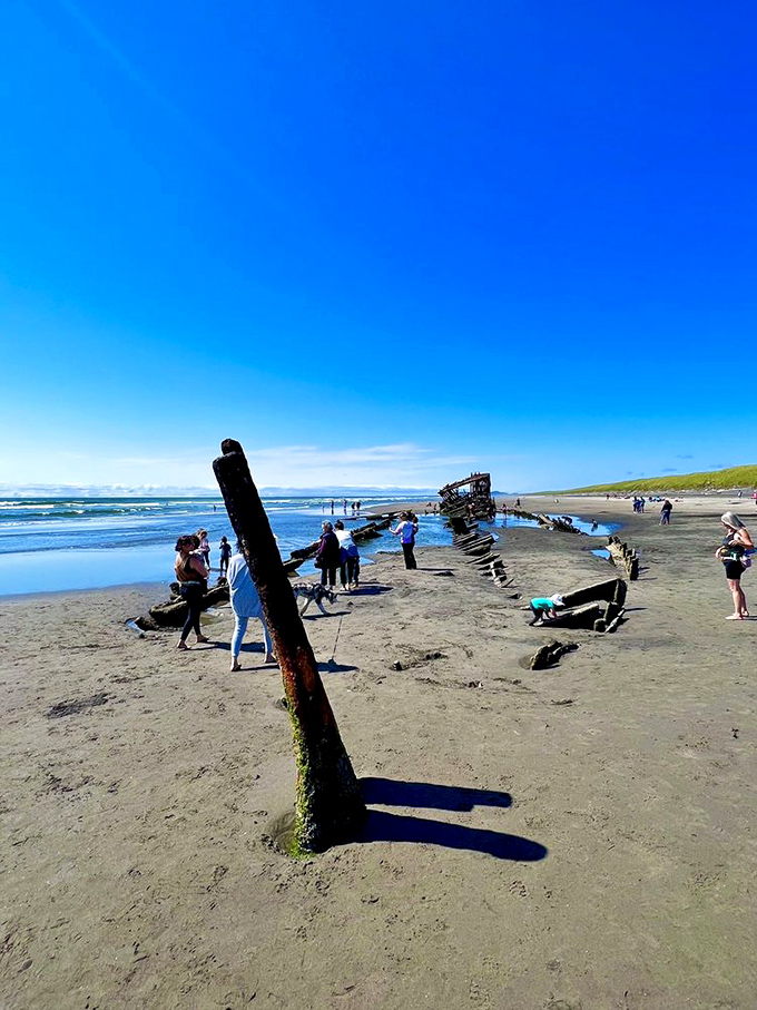 History you can touch. Visitors explore the haunting remains of the Peter Iredale, where rusty ribs emerge from sand like a maritime fossil.