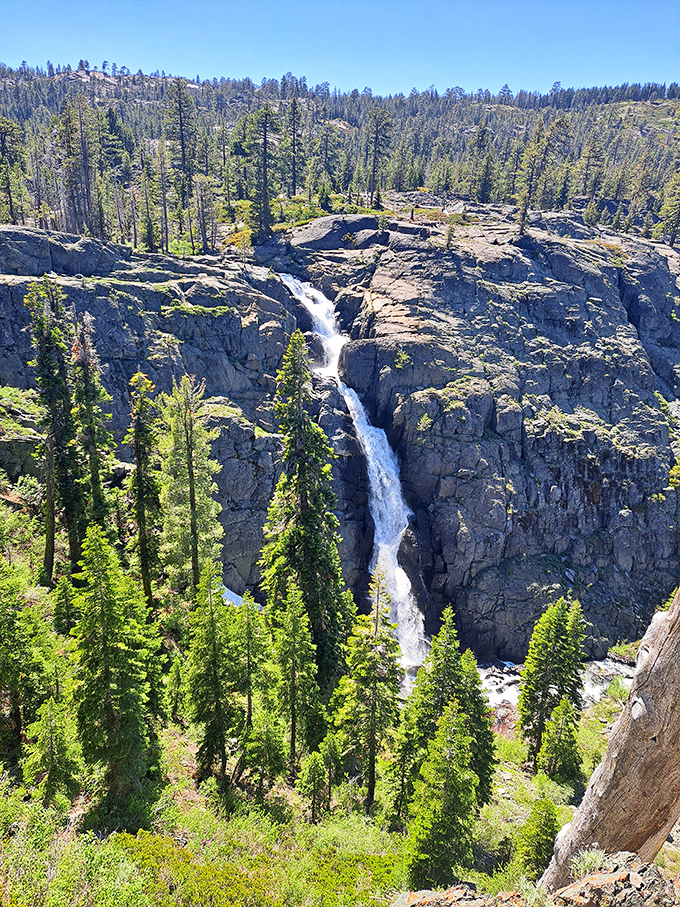 Mother Nature's own waterfall therapy session. This cascading beauty tumbles down granite cliffs, providing free sound healing to all visitors.