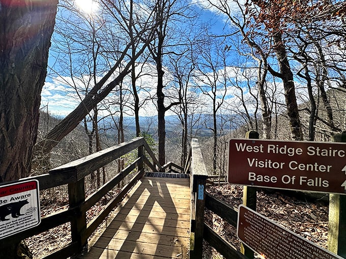 Winter strips the trees bare but reveals hidden mountain vistas. This wooden walkway doesn't just lead somewhere; it becomes part of the journey itself.