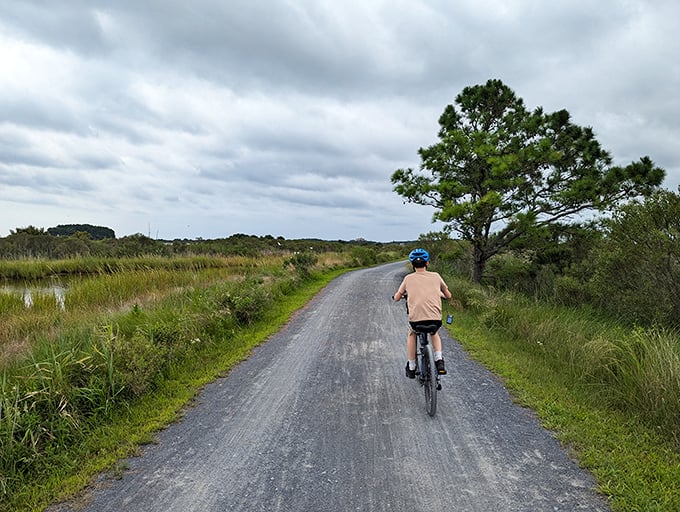 The crushed stone path creates the perfect cycling surface, allowing riders to glide through marshland panoramas that no car window could ever properly frame.