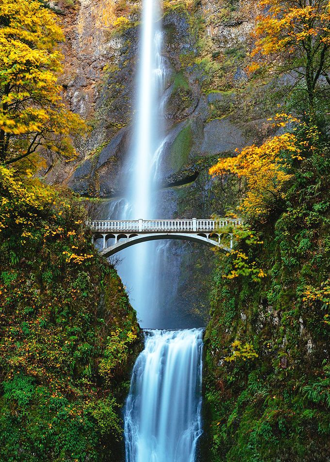 Fall foliage frames the falls like nature's own Instagram filter. When autumn hits, the yellows and greens create a scene straight from a fantasy novel. 