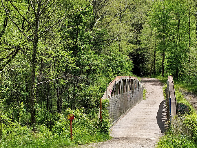 Not all who wander are lost, especially with bridges like this guiding the way. The trail's modern infrastructure makes ghost-hunting considerably more convenient than in the 1800s.