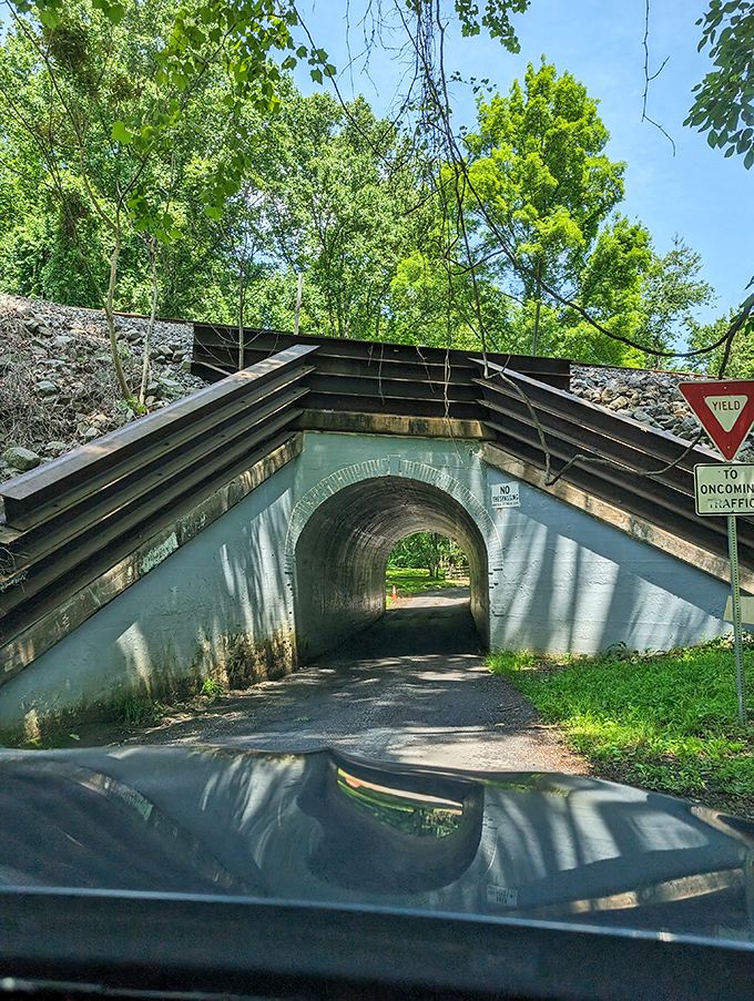 Daylight reveals the bridge's architectural charm, making you wonder how something so ordinary spawned such extraordinary tales.