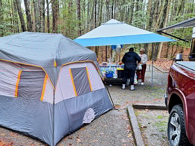 Modern camping: where the tent is bigger than my first apartment and the cooking station rivals most suburban kitchens.