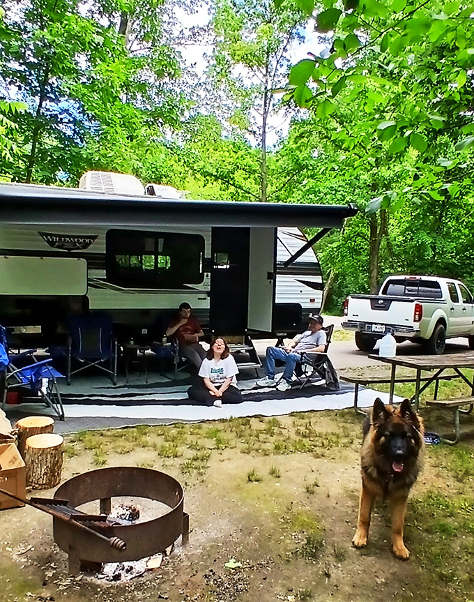 Family camping 101: One part comfortable shelter, two parts laughter, and a German Shepherd who clearly thinks he's the camping trip supervisor.