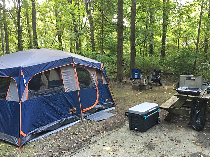 Primitive camping means no Netflix, but the stargazing makes up for it&mdash;nature's own 8K ultra-high-definition light show.