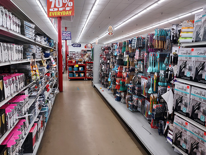 A retail symphony of organization amid chaos, where carefully arranged merchandise creates corridors of possibility for shoppers with keen eyes.