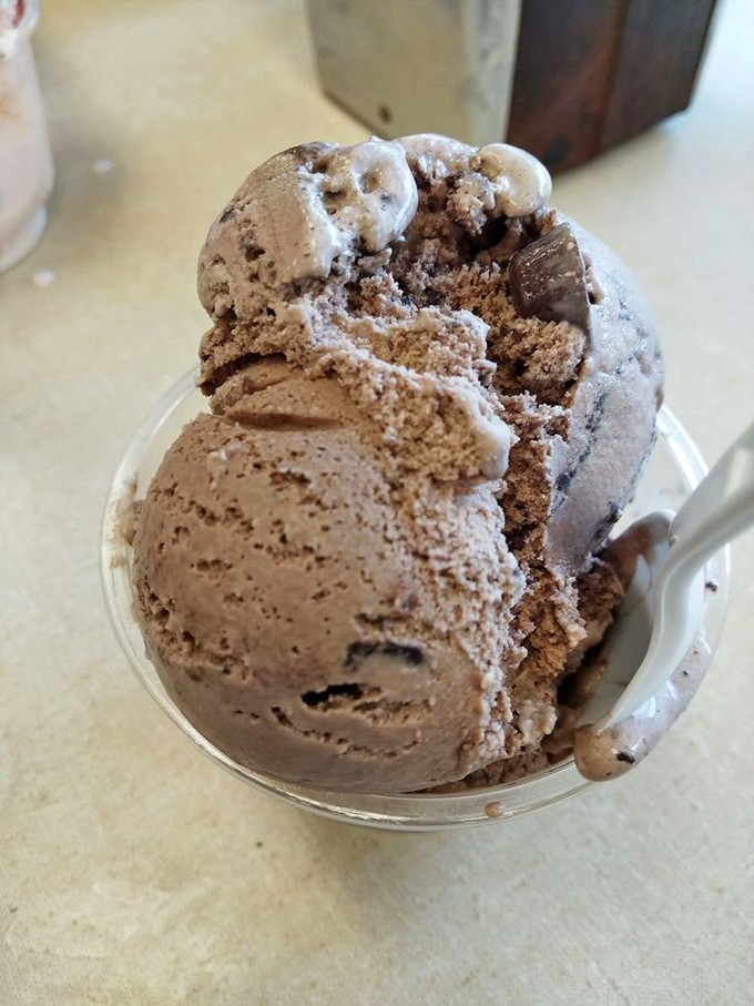 This chocolate masterpiece isn't just ice cream&mdash;it's therapy in a cup. Notice the perfect ripples of cocoa bliss throughout.