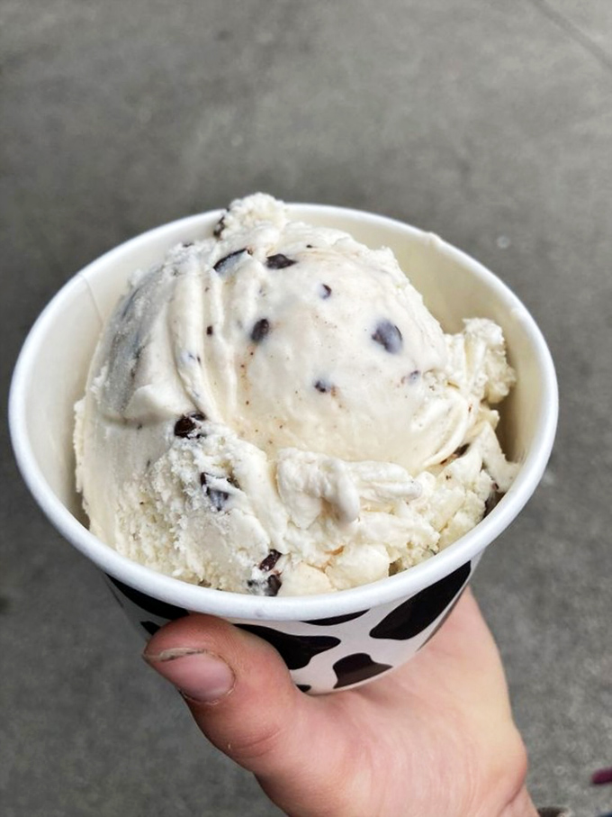 The waffle bowl experience: crispy, golden perfection cradling a scoop of vanilla that makes you wonder why plates were ever invented. 