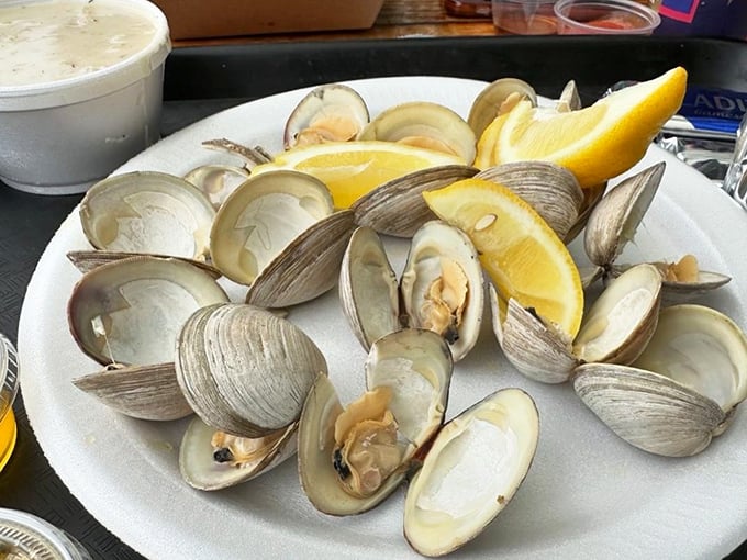 These littleneck clams are having their last hurrah before meeting their destiny. The ocean's candy, served with a squeeze of sunshine.