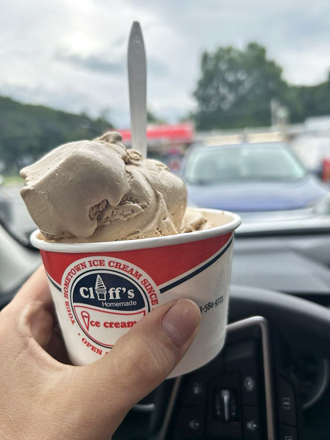 Coffee ice cream that makes your morning Starbucks run seem pointless. This is dessert and caffeine in their most harmonious relationship.