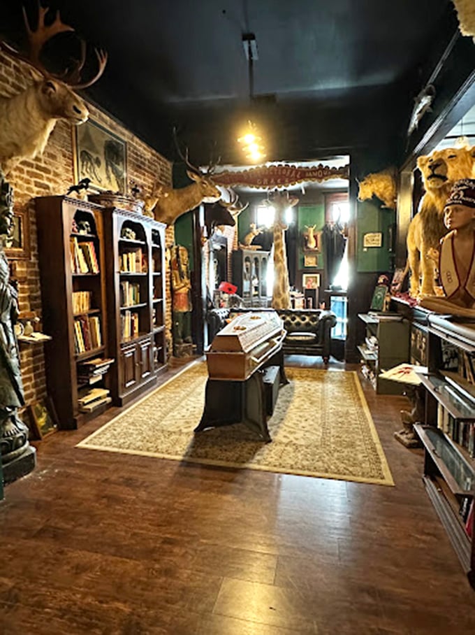 Not your average living room setup&mdash;a library of curiosities where mounted deer heads observe from above while leather-bound books hold secrets below. 