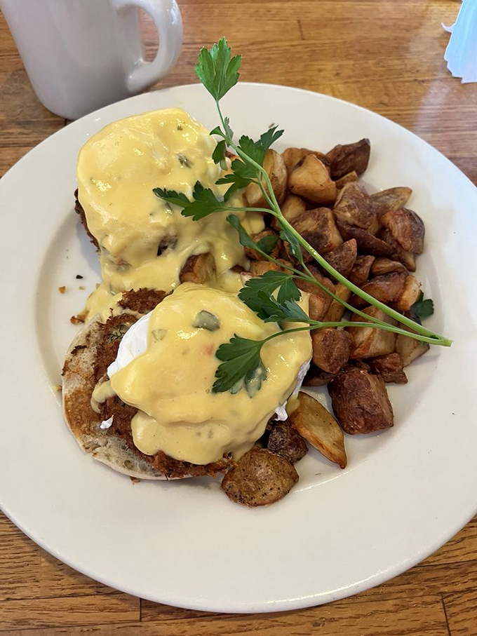 Eggs Benedict: the aristocrat of breakfast that somehow remains approachable. That hollandaise sauce looks like liquid sunshine with a hint of lemon whispers.