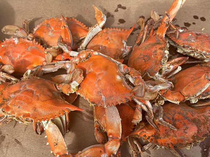 Maryland blue crabs in their full glory&mdash;bright orange shells dusted with spice, just waiting for you to grab a mallet and discover their sweet meat.