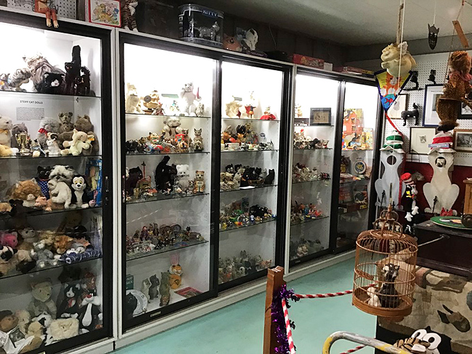 Display cases burst with feline figurines, a testament to our centuries-old compulsion to recreate cats in every conceivable material.