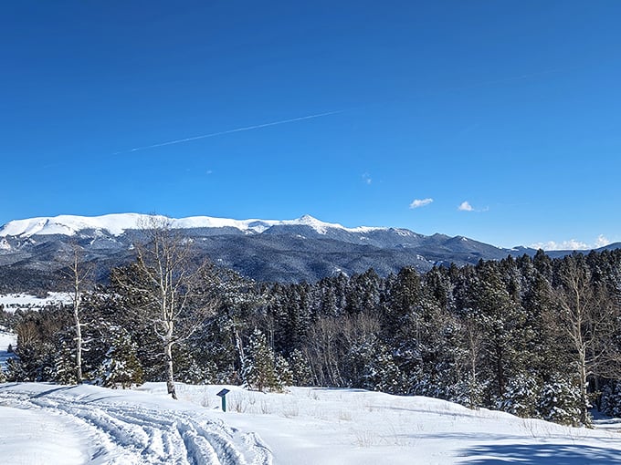 Winter transforms Mueller into a pristine wonderland where ski tracks write temporary stories across untouched snow canvases.