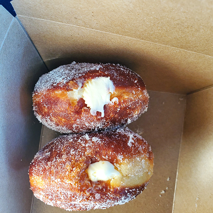 These cream-filled donuts aren't just desserts, they're life goals—sugar-dusted perfection with a center that dreams are made of.