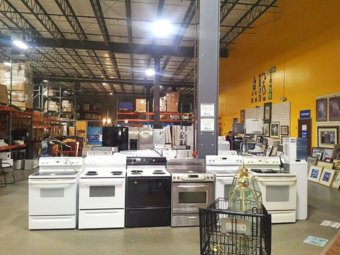 The appliance lineup looks like a game show where every contestant is a winner. "I'll take 'Kitchen Upgrades for $200,' Alex!"