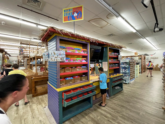 Hermit Crabs Central! Where kids learn valuable life lessons about pet ownership and parents learn valuable lessons about late-night tank cleanings. 