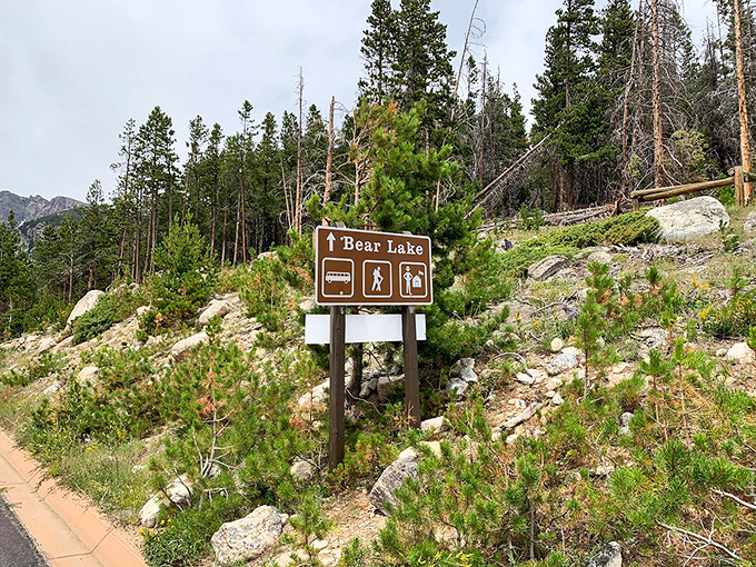 Signs, signs, everywhere signs. This wooden welcome committee points you toward Bear Lake's pristine waters with classic national park charm.
