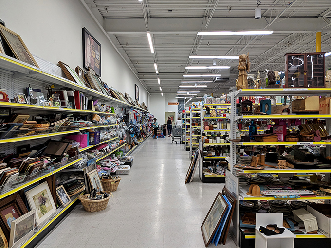 The home goods aisle—where vintage picture frames and quirky knickknacks compete for your attention and limited trunk space.