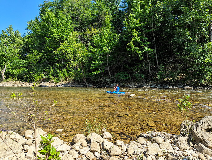 A lone kayaker navigates the gentle current, proving that sometimes the best way to experience Arkansas's beauty is from the middle of it.