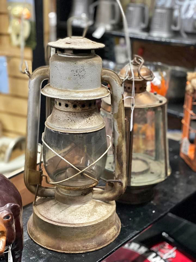 These vintage lamps once illuminated someone else's stories. Now they're waiting to cast their warm glow on your next chapter.