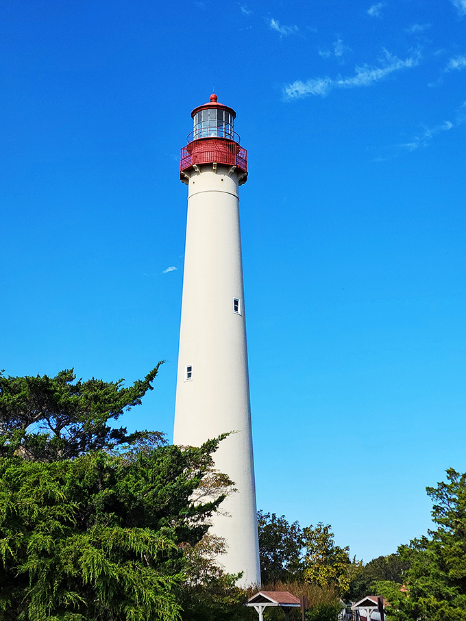 The Cape May Lighthouse has been photobombing family vacation pictures since 1859, standing tall like the world's most elegant exclamation point.