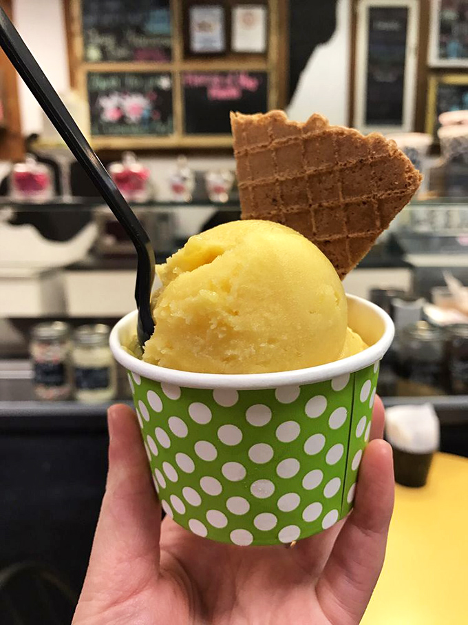 Sunshine in a cup—this mango sorbet delivers tropical vacation vibes even when you're just taking a break from Arizona errands.