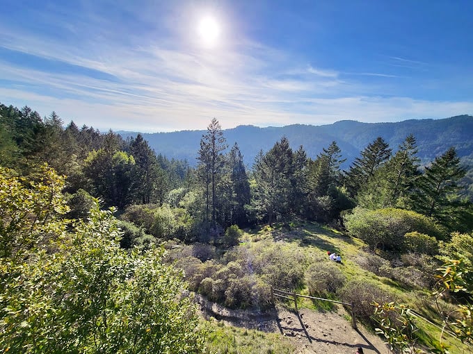 Beyond the redwood canopy lies rolling California landscape &ndash; a reminder that this magical forest exists within a much larger tapestry of natural beauty.