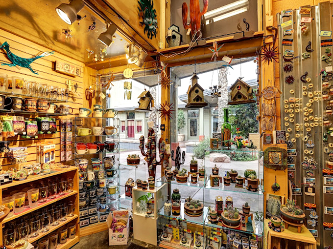 The window display showcases an impressive collection of southwestern-inspired gifts, where cacti-themed treasures catch sunlight like desert mirages you can actually take home.