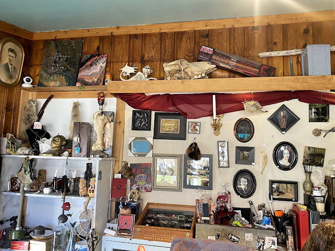 Wooden walls adorned with vintage portraits and curiosities – like your eccentric great-aunt's attic, if she collected things that go bump in the night.