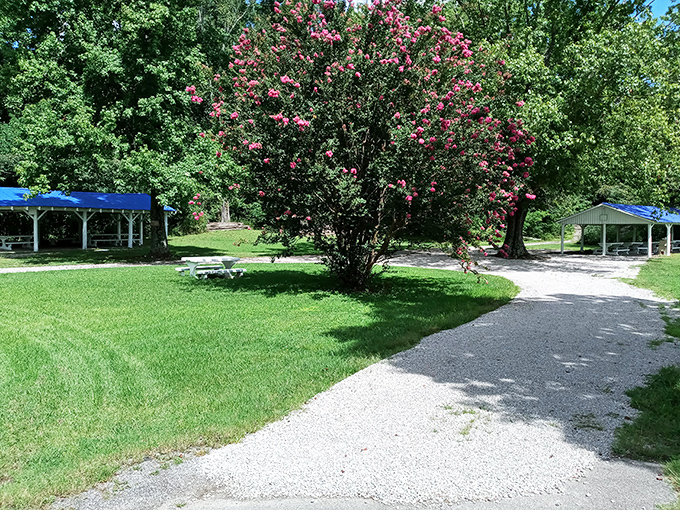 Nature's air conditioning &ndash; shady picnic spots under flowering trees offer respite after a day of treasure hunting at roadside stands.