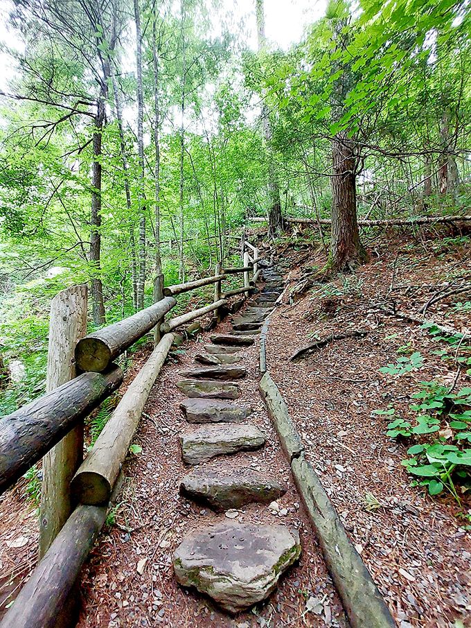 
Stone steps lead the way like breadcrumbs in a fairy tale forest. The rustic trail infrastructure blends perfectly with the surrounding woodland, inviting exploration without disturbing nature. 