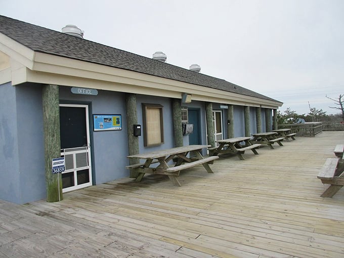 Beach headquarters: where simple pleasures like clean restrooms and picnic tables remind us that comfort doesn't need to be complicated.