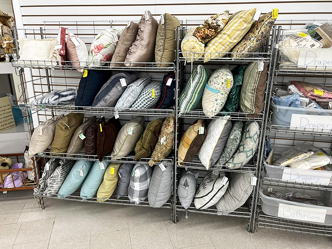 The pillow section is organized with military precision&mdash;if the military were run by interior designers with a flair for color coordination.