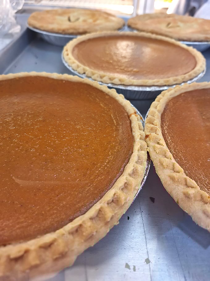 Pumpkin pies with that perfect autumnal glow – the kind that makes you want to wear a sweater and pretend you're in a Hallmark movie.