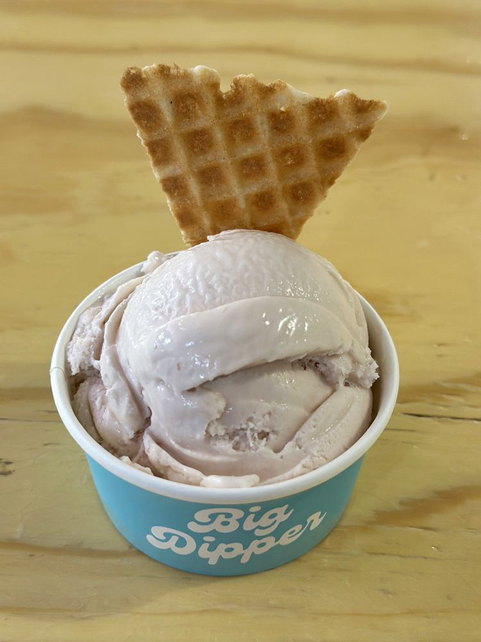 This scoop isn't just sitting in a cup&mdash;it's posing, showing off its creamy perfection like it knows exactly how good it is.