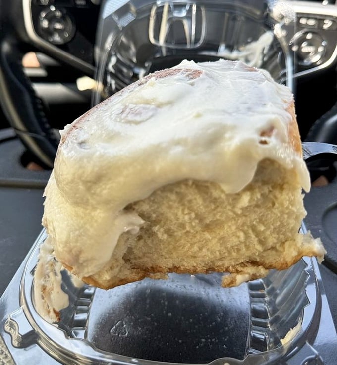 Car dashboard cinnamon roll selfies: the new Instagram flex. This one's so fluffy it could moonlight as a pillow.
