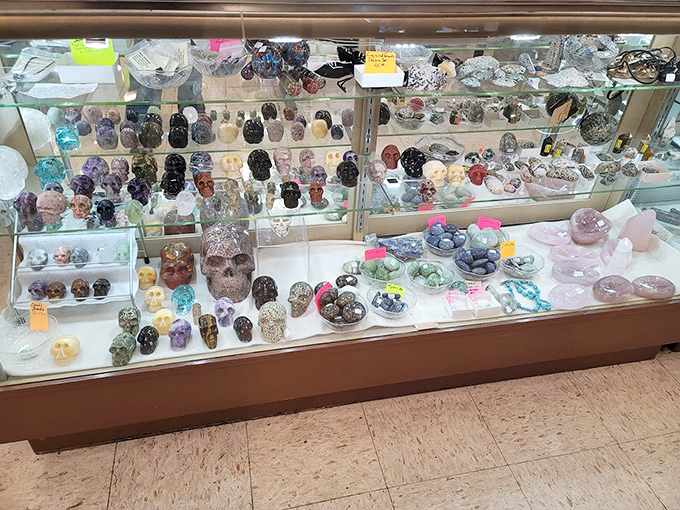 A crystal skull gallery that would make Indiana Jones nervously check his watch. Each face seems to whisper ancient secrets or possibly stock tips.