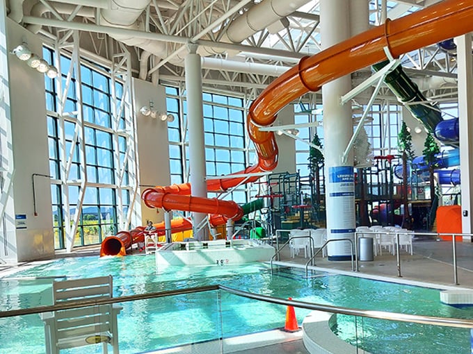 That moment when you realize the orange slide isn't just a slide—it's a portal to your inner child. Guaranteed to produce involuntary whooping.