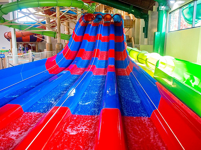 These racing slides don't discriminate between the young and the young-at-heart. The screams of joy sound remarkably similar across generations. 