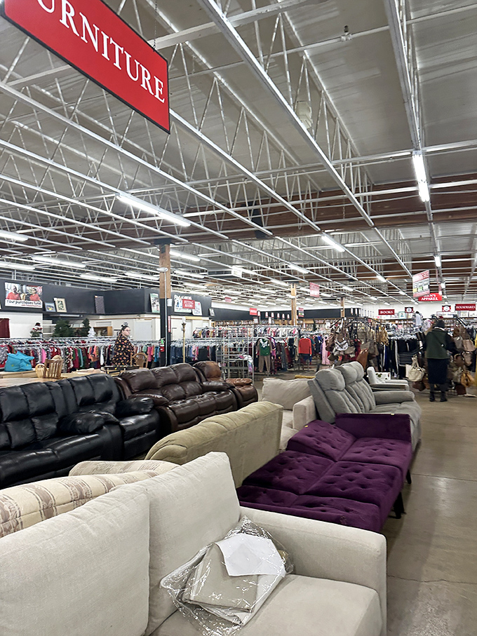 The furniture section: where sofas of all personalities gather. That purple chaise lounge is practically screaming, "Draw me like one of your French couches!" 