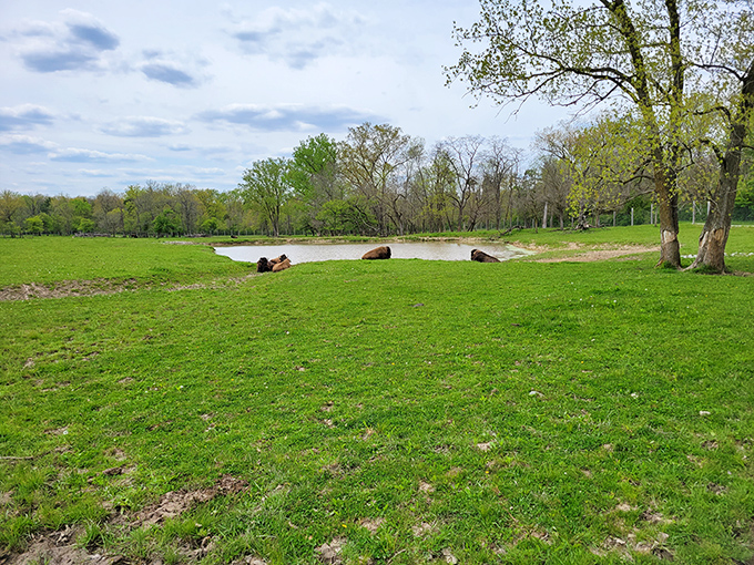 Nature's version of therapy doesn't require an appointment or insurance approval&mdash;just comfortable shoes and an appreciation for Indiana's understated beauty.