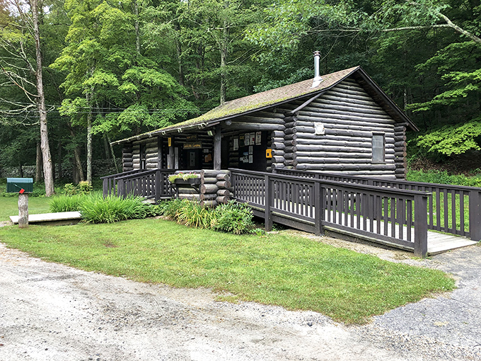 This charming log cabin office has witnessed generations of wide-eyed visitors. If walls could talk, they'd probably say, "Go outside already!"