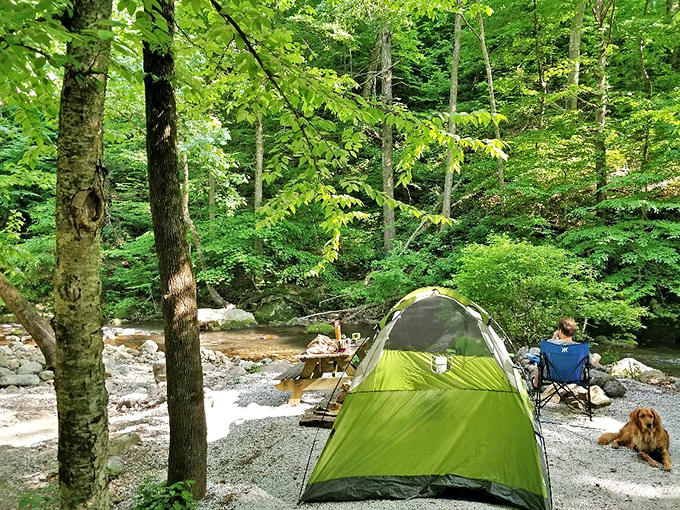 Streamside camping at its finest&mdash;where the babbling brook provides better white noise than that expensive machine gathering dust in your bedroom.