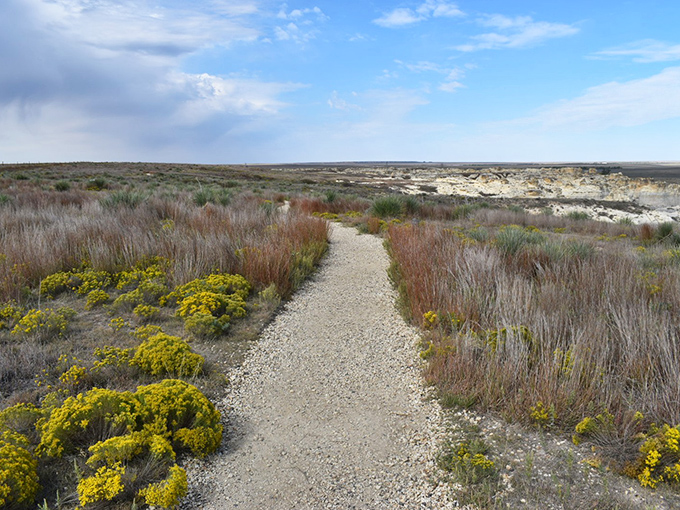 Spring wildflowers frame the path through Little Jerusalem like nature's yellow brick road, leading visitors through a landscape unlike anything else in Kansas.